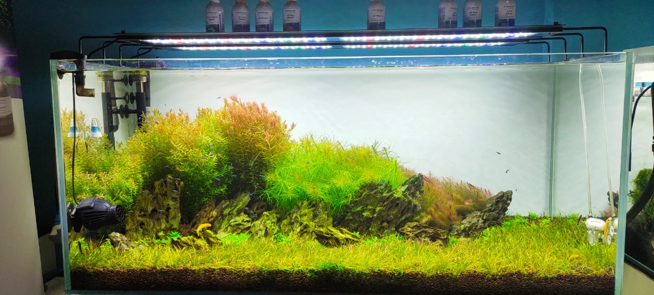 Home - Sagar Aquarium